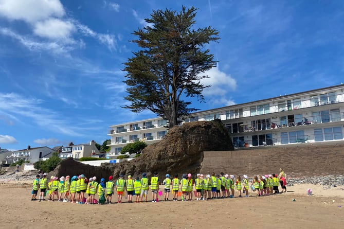 Saundersfoot pupils ‘Lonely Tree’ posters prove a real ‘delight’ | tenby-today.co.uk